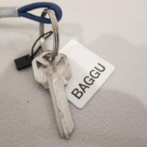 BAGGU | Accessories | Baggu Leather Loop Long Keychain Key Ring Blue ...